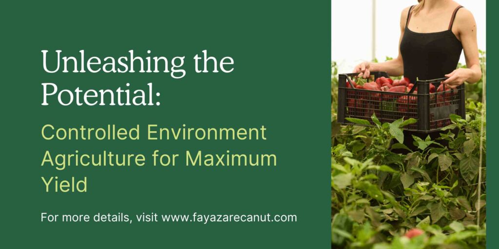 Controlled Environment Agriculture for Maximum Yield