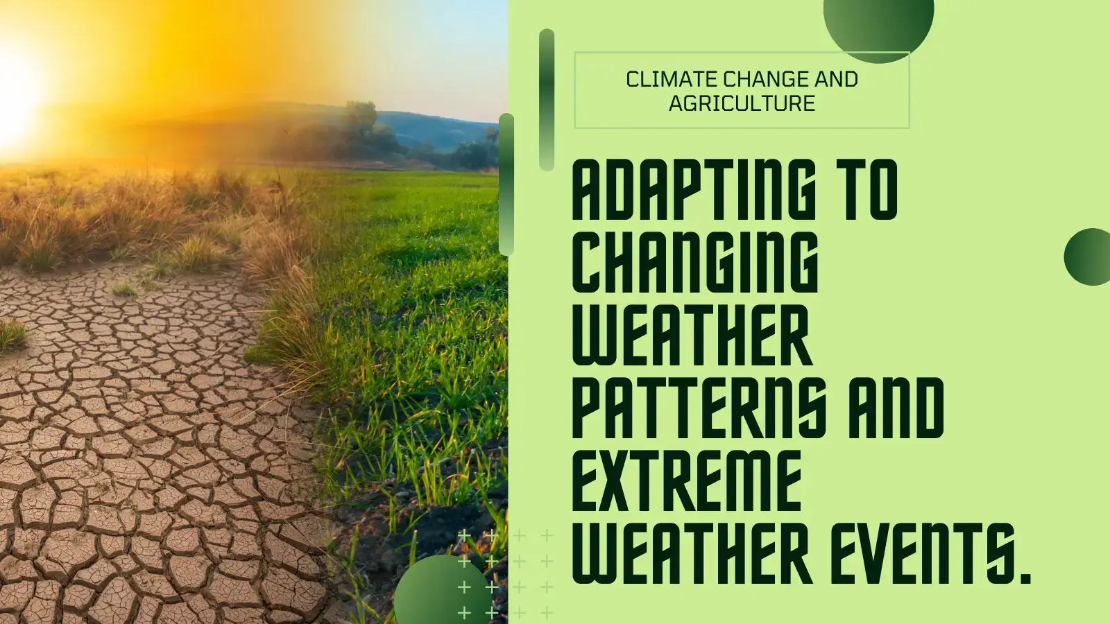 Climate Change And Agriculture: Navigating the Impact